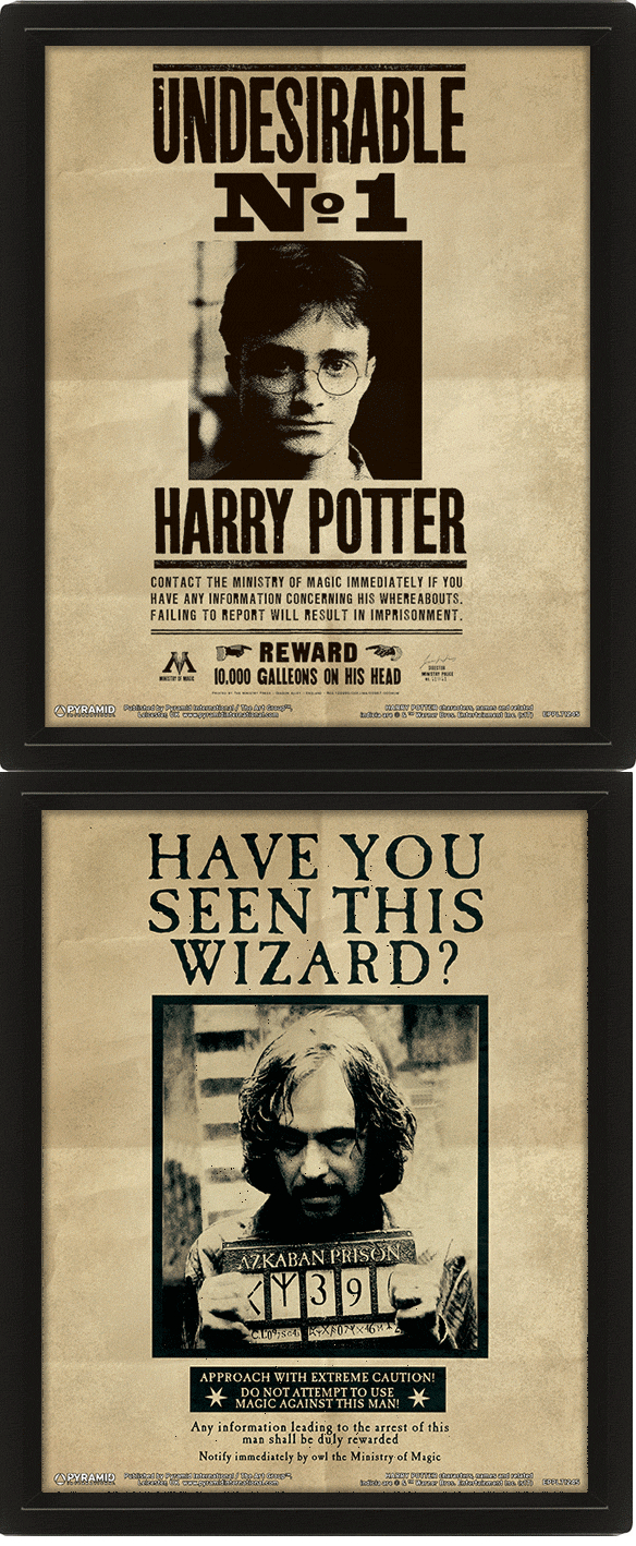 Harry Potter - Potter / Sirius Black 3D Lenticular Poster 25.4 x 20.3cm
