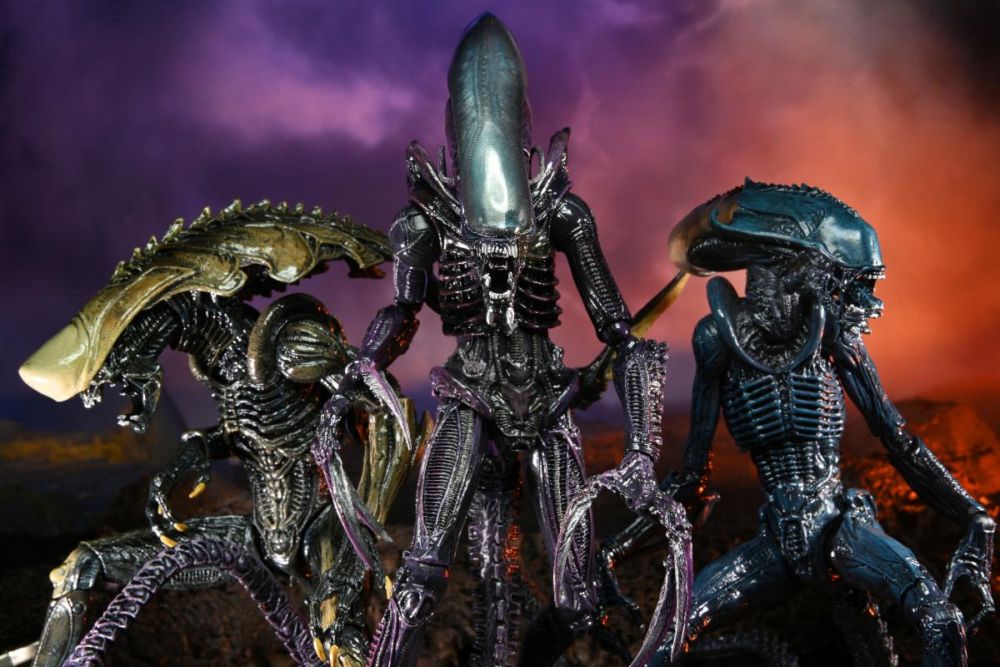 ALIEN VS PREDATOR Xenomorph Action Figure Set (3) NECA EUR 144,54 ...